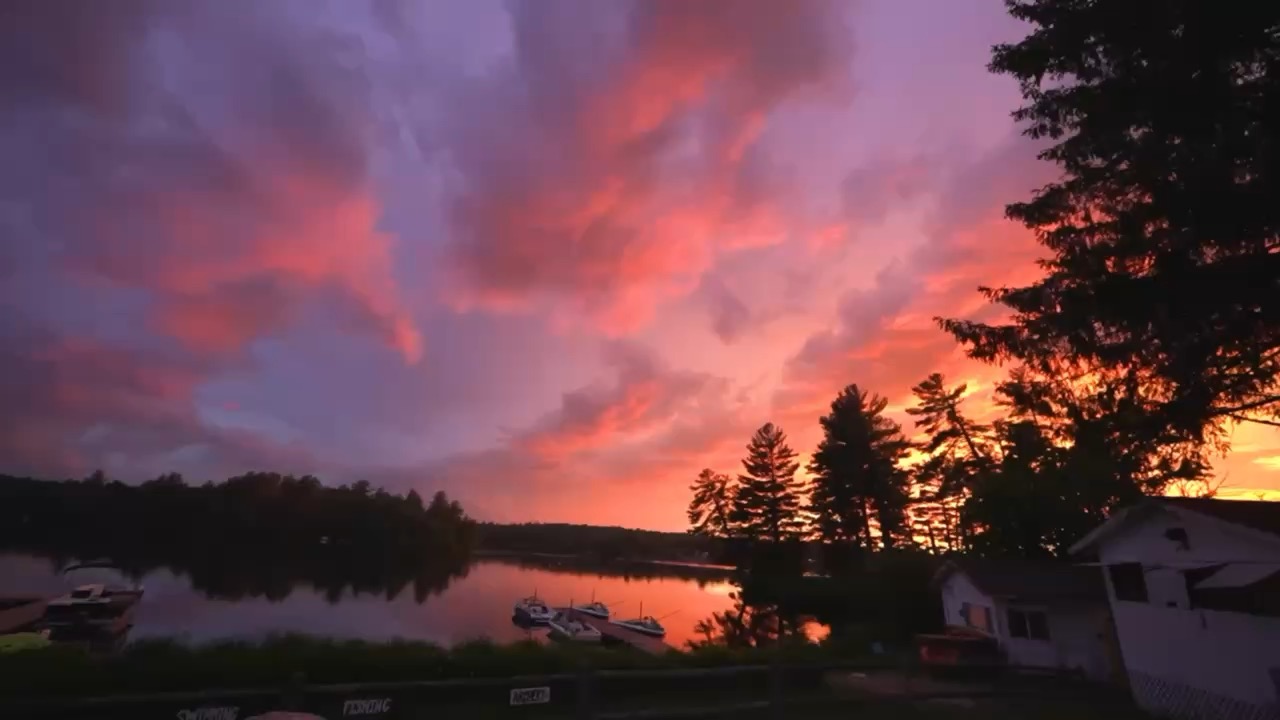 The Danbee Bubble - Camp Danbee